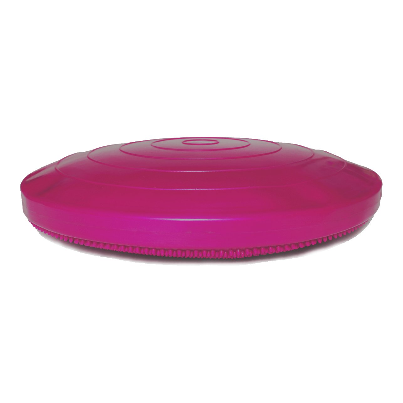 FitPaws Balance Disk - Razzleberry